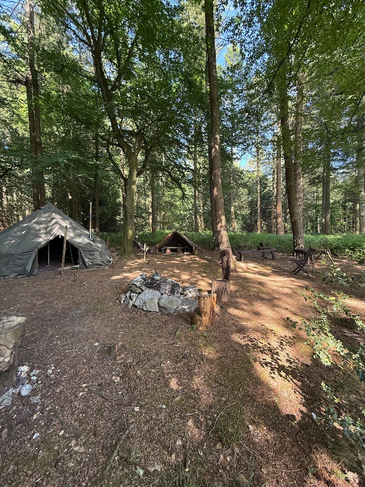 Woodland Off Grid Wild Camping In The Surrey Hills - Guildford