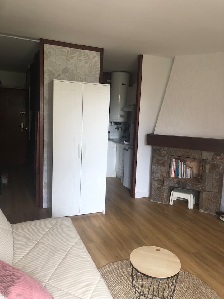 Appartement Au Pied Des Pistes - Saint-Lary-Soulan
