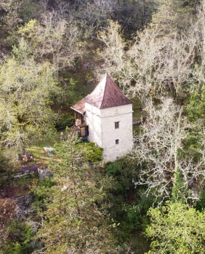 Logis De Picamy (Périgord Noir) - Domme