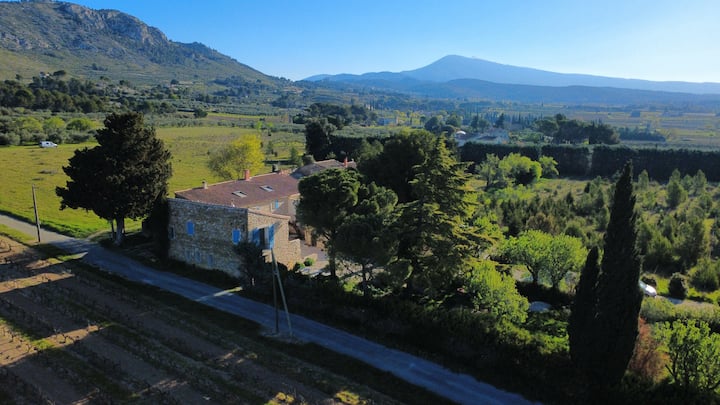 Mas Allègre - Provence - Vaucluse