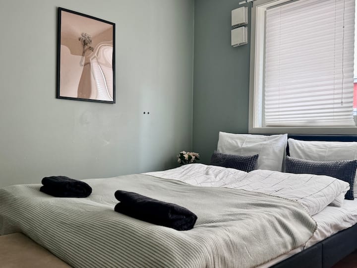 Central Oslo Stylish Apartment+ Lift 12 Guests - Oslo