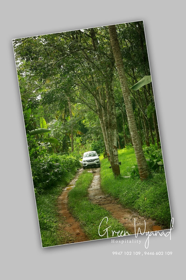 Green Wayanad Home Stay @Kenichira - Wayanad