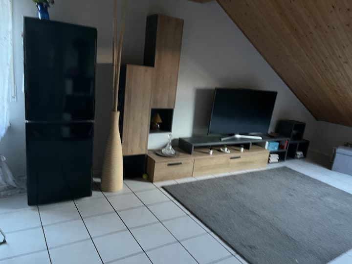 Helle, Moderne Dachgeschoss-wohnung Bei Frankfurt - Frankfurt