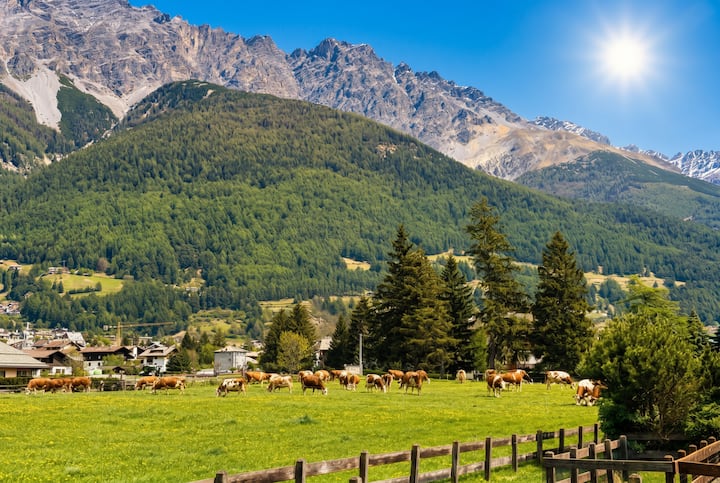 Finestra Dell'adda - Casetta Con Giardino - Bormio