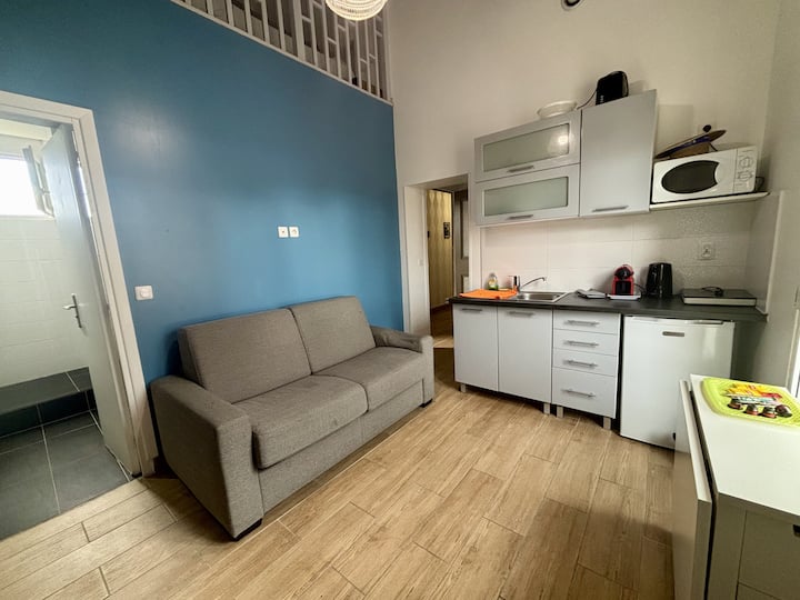 Loft Cosy Avec Mezzanine • Paris / Malakoff - Malakoff