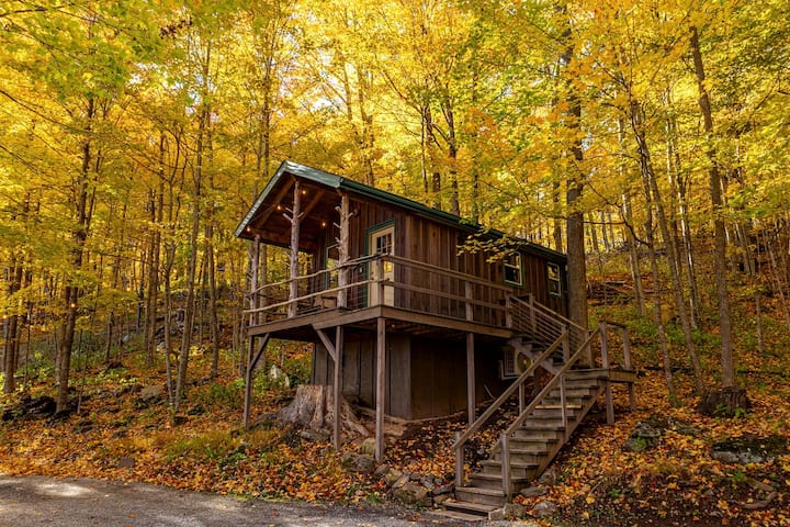 Treehouse Cabin Escape, Riverton Wv - Spruce Lake, Whitmer