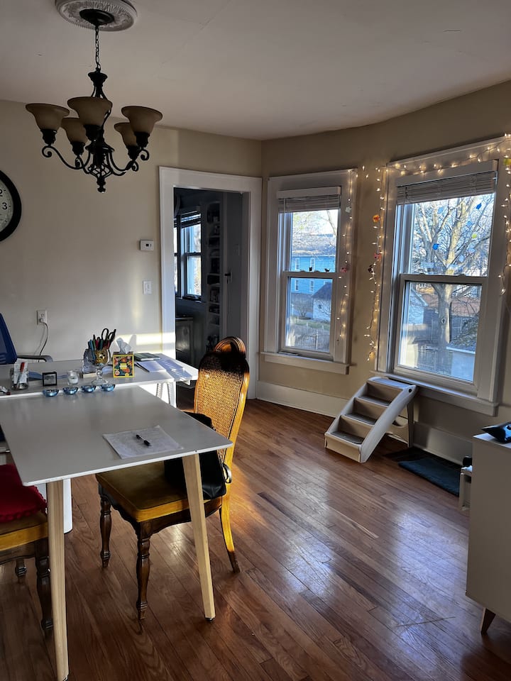 Sunny 2 Bedroom Blocks From Barry Park - Syracuse, NY