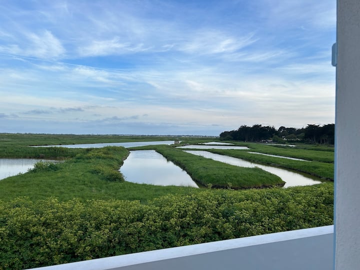Maison Sur Les Marais Salants à Luzéronde - Noirmoutier-en-l'Île