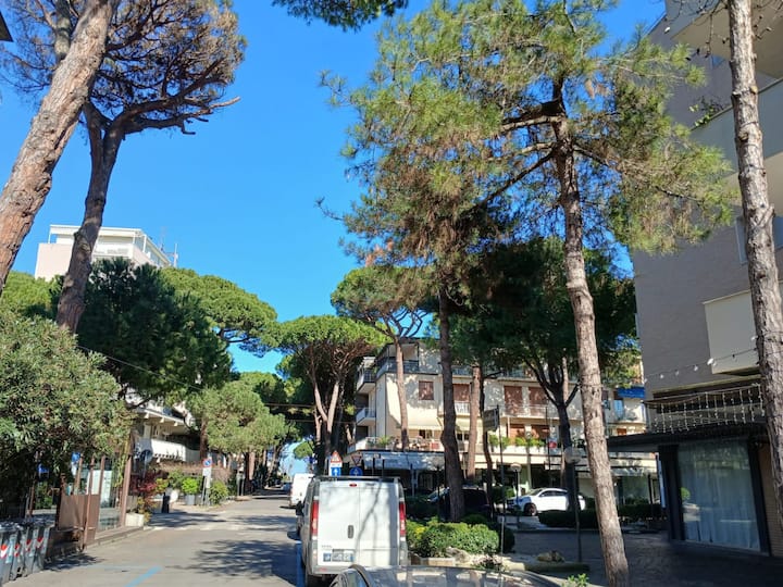 Cv010 - Cervia, Four-room Apartment - Milano Marittima
