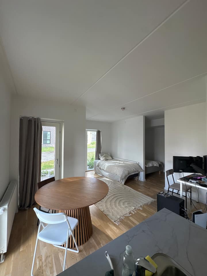 Central Lejlighed Ved Ucl Og Havnen - Odense