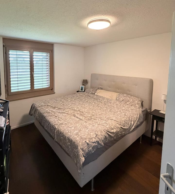 Room In Rotkreuz - Zug