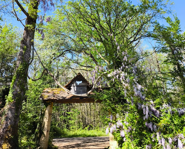 La Maison Des Bois - Le Bugue