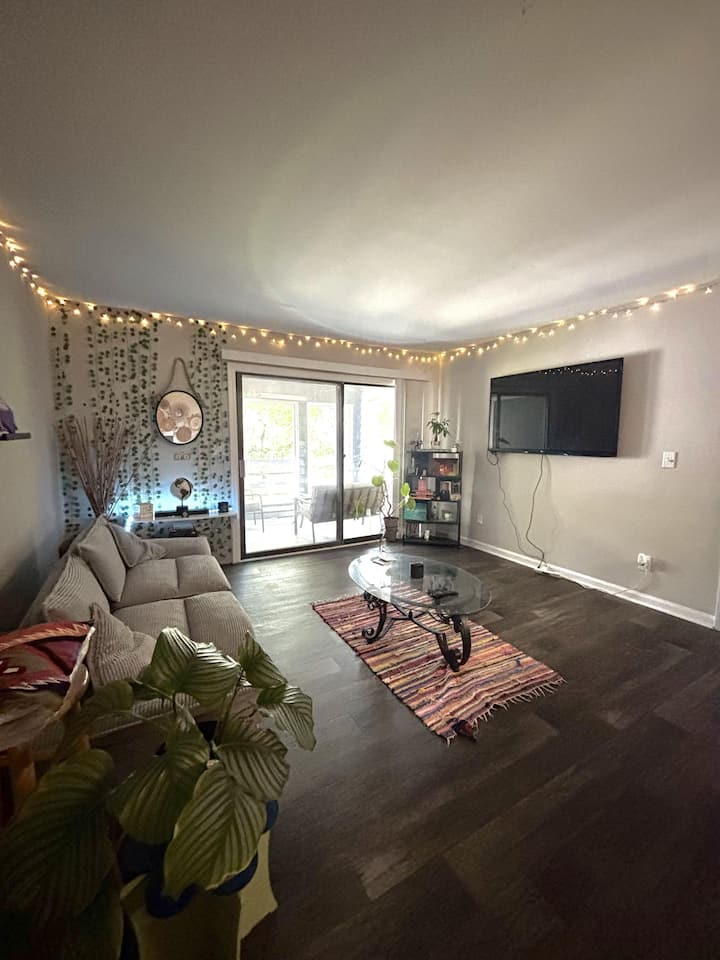 Serene Lakeview Apartment - Sandy Springs, GA