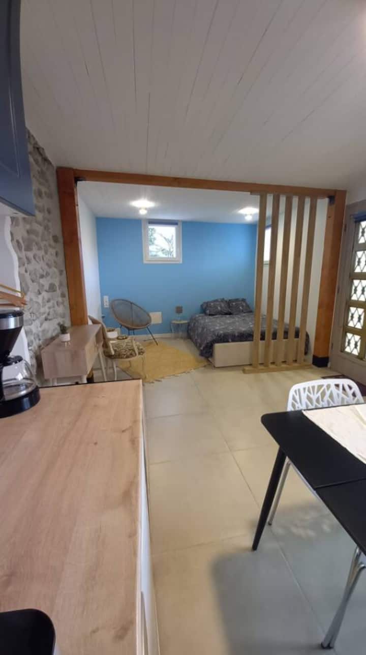 Studio Entre Lacs Et Montagnes - La Motte-Servolex