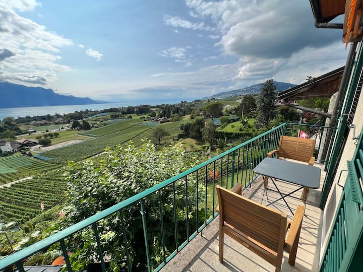 Vigneronne, App. Lac By Interhome - Montreux