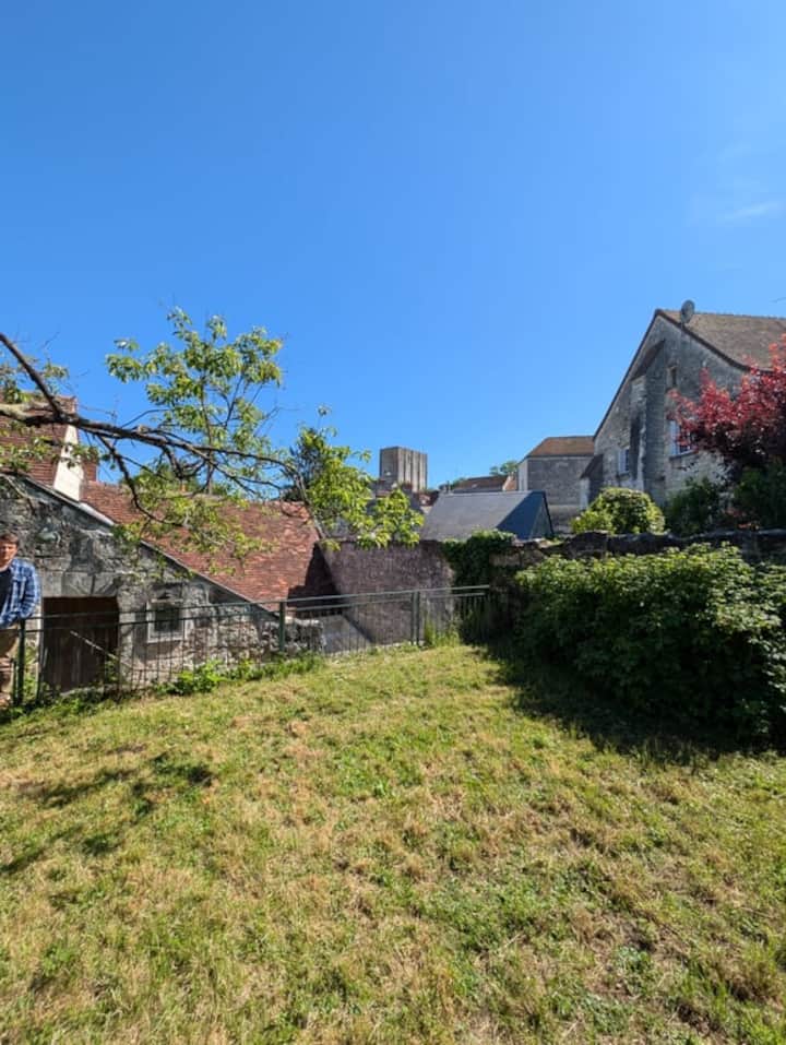 Maison Avec Jardin Suspendu - Vue Sur Le Donjon - Loches
