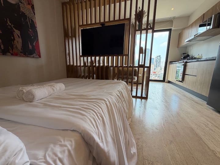 Stylish Roma Norte Apartment - Mexico