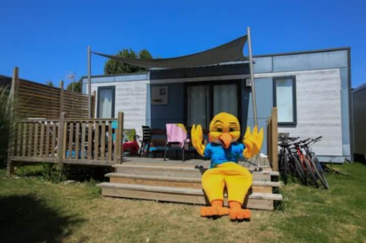Mobil Home Premium 2 Chambres 5 Personnes, Terrass - La Faute-sur-Mer