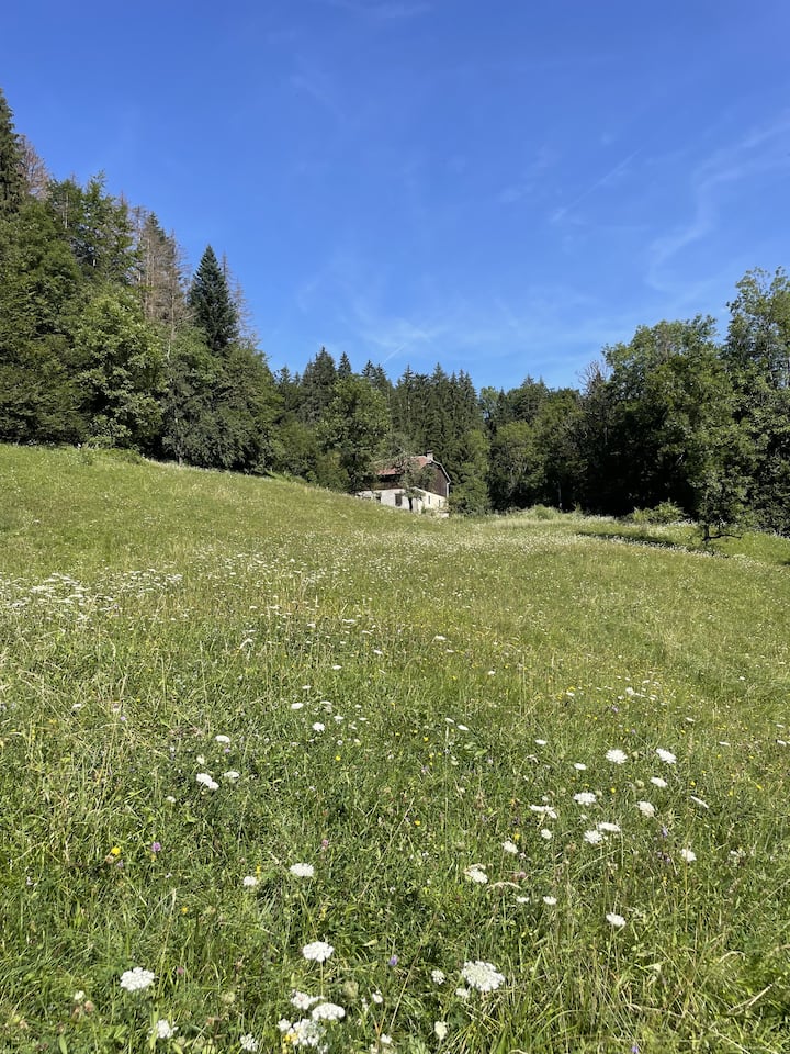 La Maison Au Bout Du Chemin - Praz de Lys