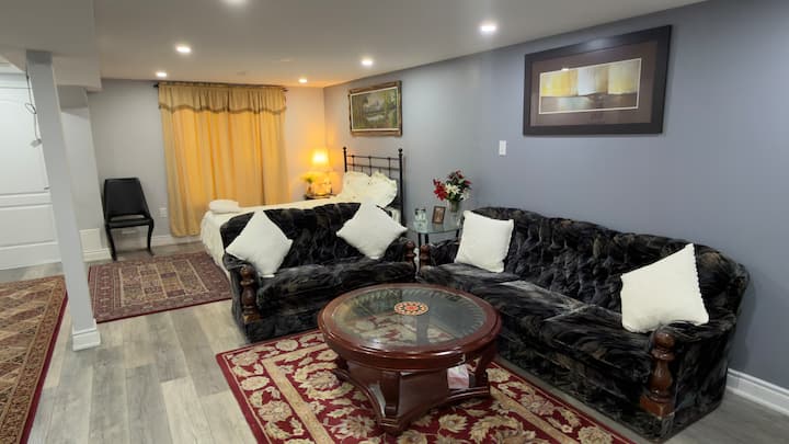Walk Out Lake View Beautiful Studio Type Basment - Brampton