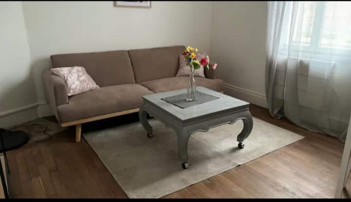 Apparemment De 2 Pièces, Proche Du Ch D'arras - Écurie