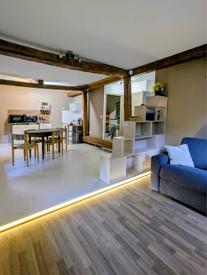 Sous Le Château Appartement Entre Lac Et Montagne - Menthon-Saint-Bernard