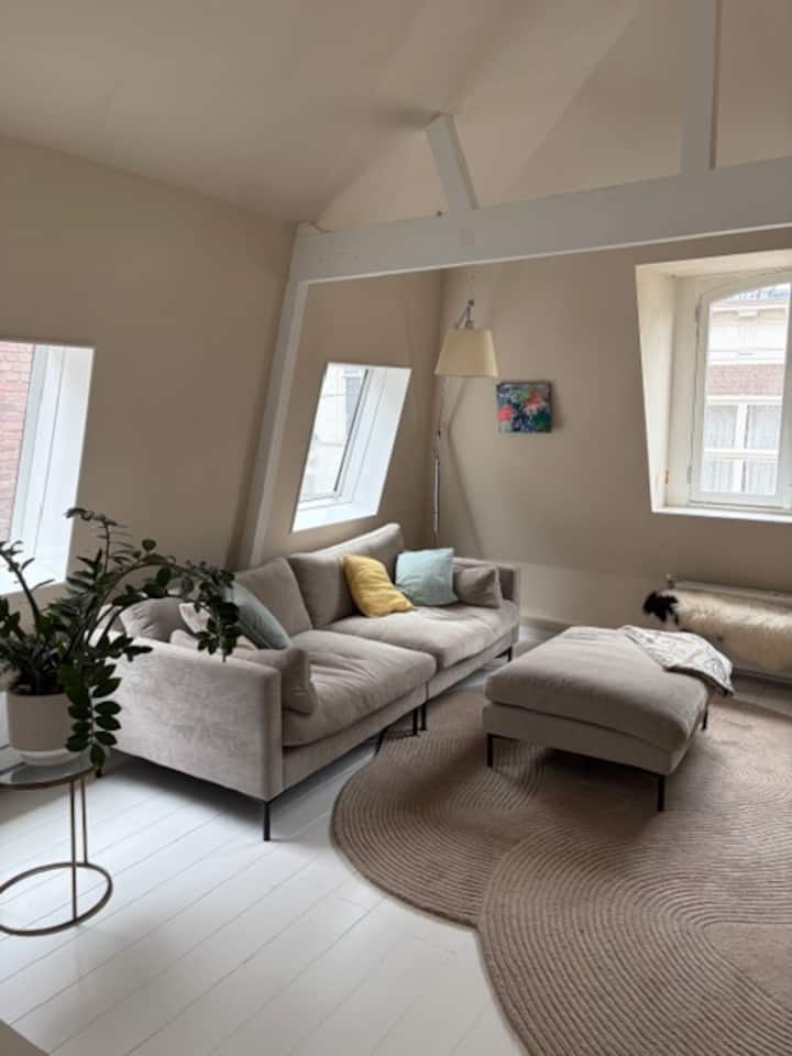 Appartement Met Dakterras In Centrum Met Parkeren - Haarlem
