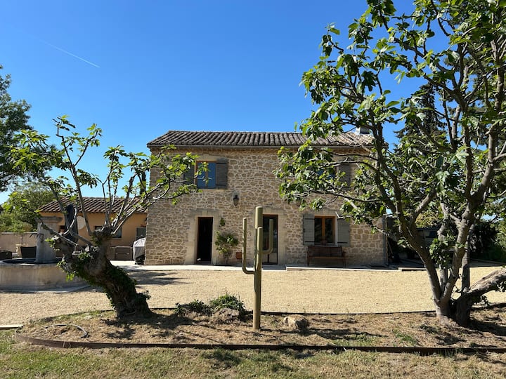 Mas Provençal 6/8 Personnes à L’isle-sur-la-sorgue - L'Isle-sur-la-Sorgue