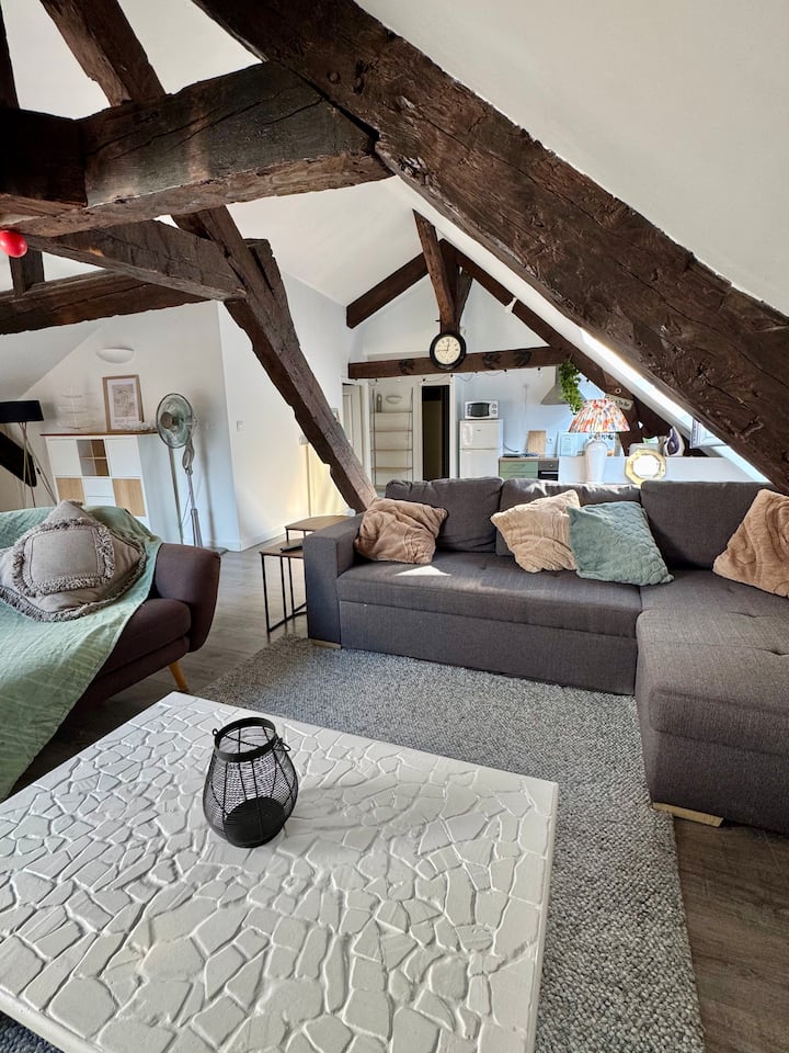 Un Cocon Au Coeur Du Vieux Chambéry - Chambéry