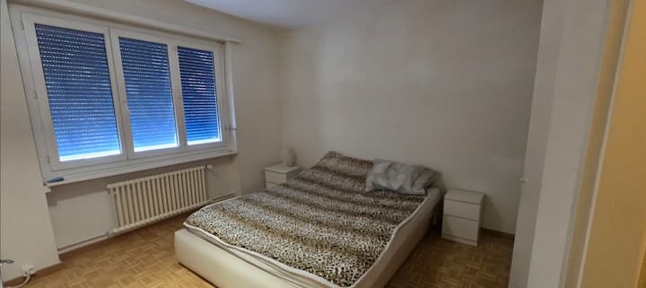 Apartment Very Close To The Center - Ginebra