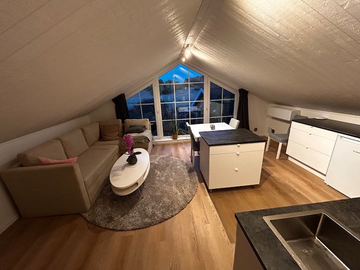 Garage Apartment - Uppsala