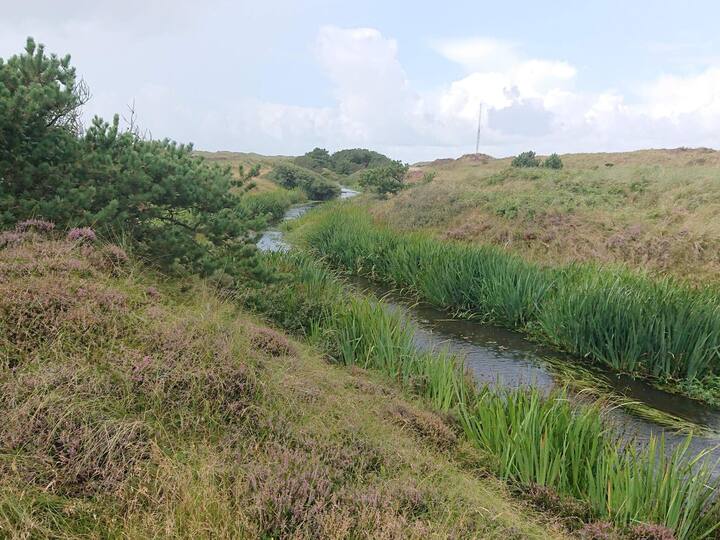 Chalet Isolé En Rondins Près De Graerup - Vejers Strand