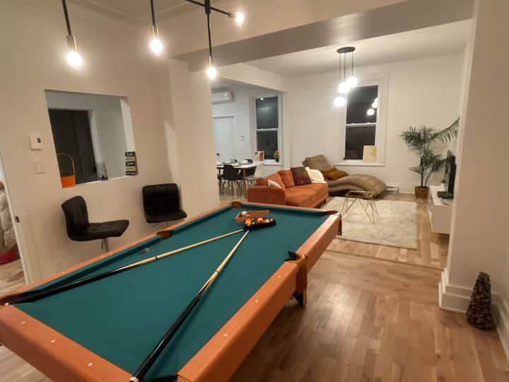 Grand Appartement Au Sud Ouest - Montréal