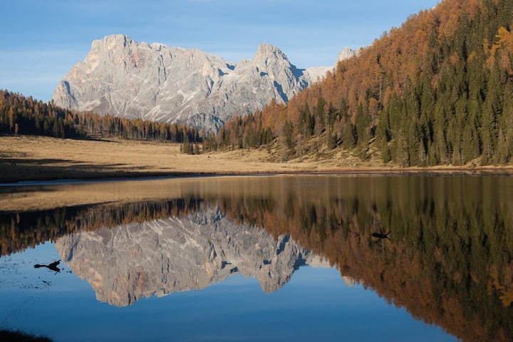 Agritur Alle Quattro Stagioni - San Martino di Castrozza