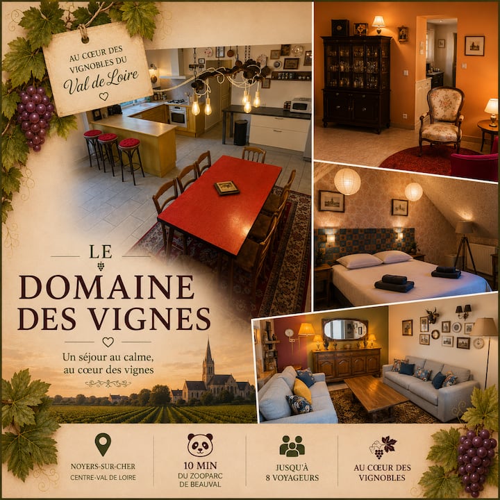 Le Domaine Des Vignes - Selles-sur-Cher
