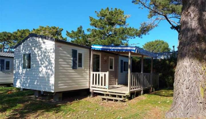 Mobil-home Opale 4 Pièces 6 Personnes - Plouhinec