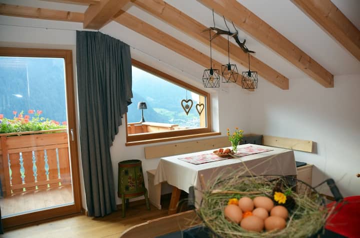Appartement Wiesengrün - Sand in Taufers