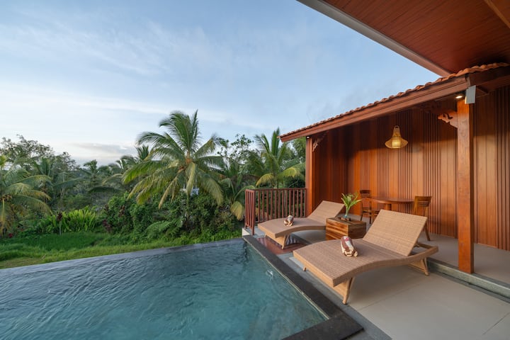 Jungle View Private Pool Room In North Ubud - Indonesia