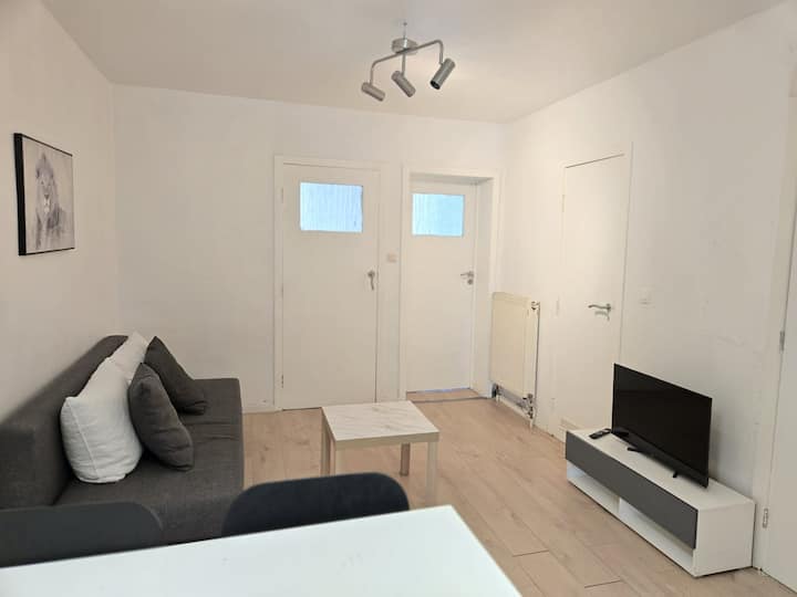 House, 3 Flats, 4 Baths For 15 Persons - Brussels