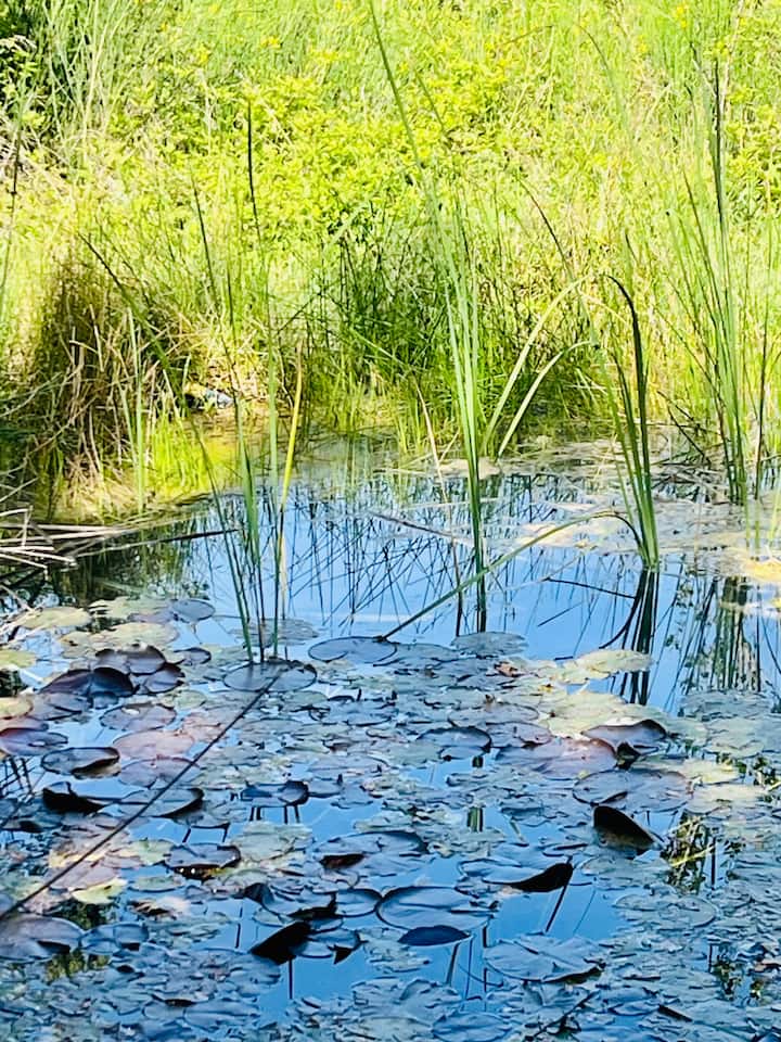 Lorée Du Bois Refuge De Calme Et Nature Préservée - Crest