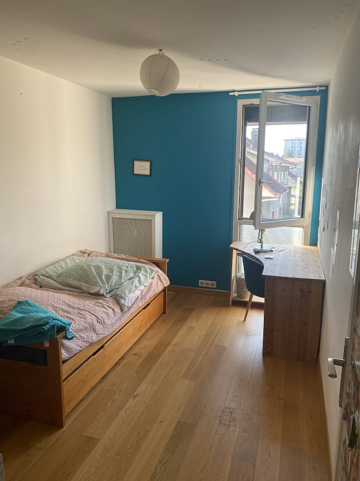 Chambre Dans Appartement Occupé - Annecy