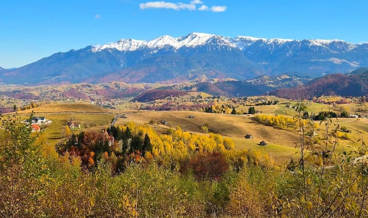 Cort îN Natură
Glamp Ing
Zazen - Peștera