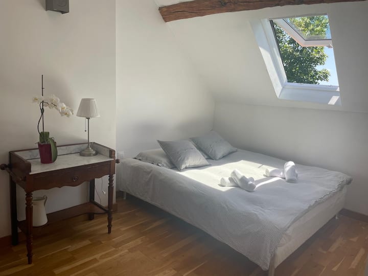 Chambre D'hôte Au Cœur D'olivet - Orléans
