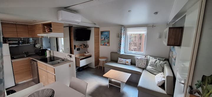 Mobil Home 6pers (3chb +2sdb) - Bassin D'arcachon - Gujan-Mestras