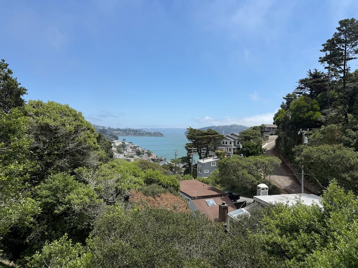 Luxurious Family Hillside Home In Sausalito - Tiburon, CA