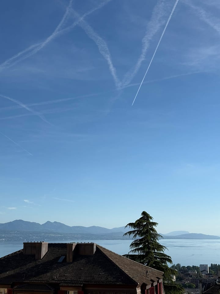 Studio Lumineux Avec Vue Sur Le Lac Et Terrasse - Lausanne