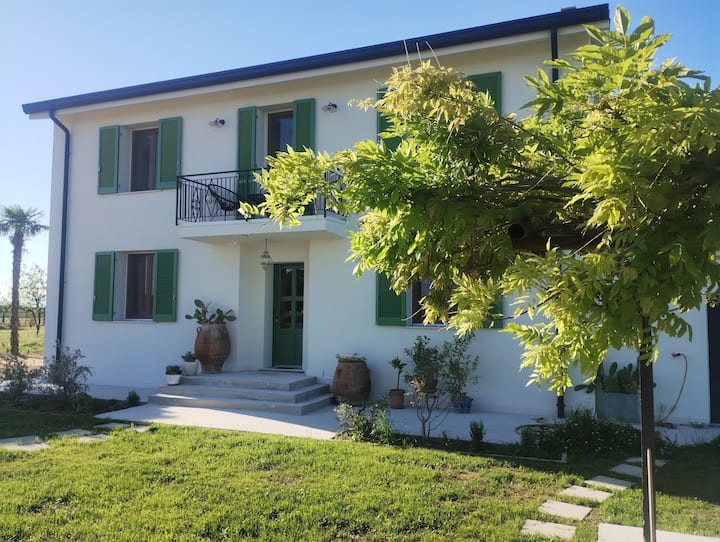 Salicornia B&b Stanza 2 - Jesolo