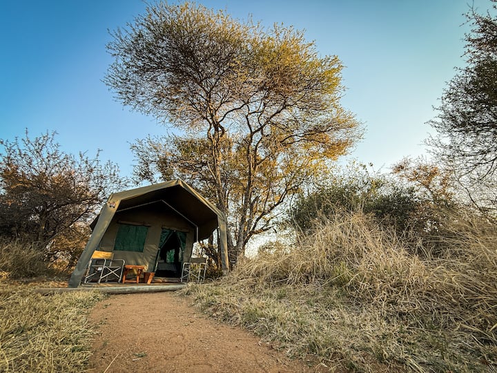 Exclusive Big 5 Safari Camp In Dinokeng North - Hammanskraal