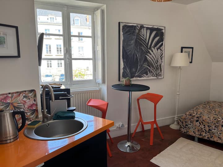 Studio De 18 M 2 Centre Historique De Blois - Blois