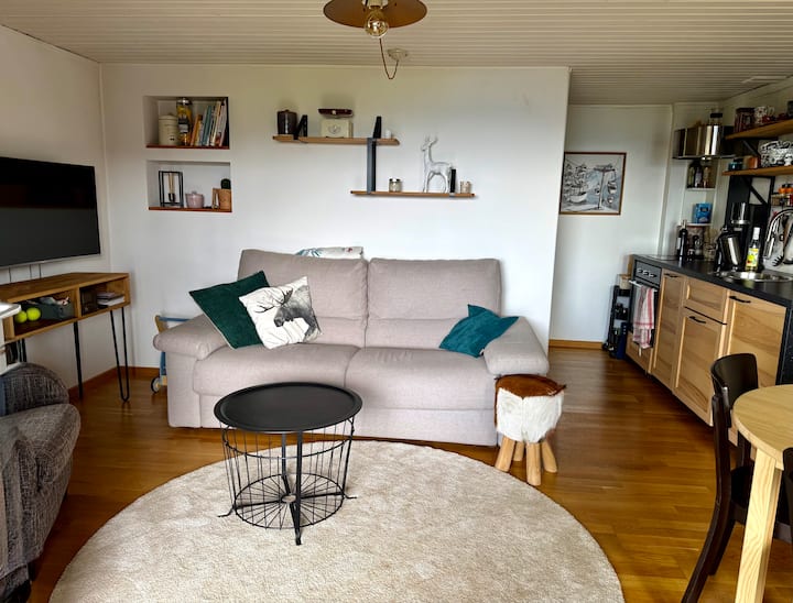 La Quiétude - Logement Avec Vue & Terrasse - Gryon